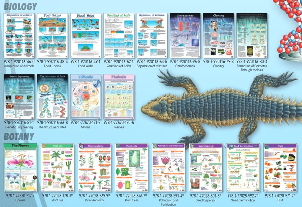 Chromosomes – Wall Chart – Imani